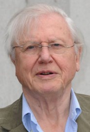 David Attenborough on the Art of Storytelling – Book Marketing Bestsellers
